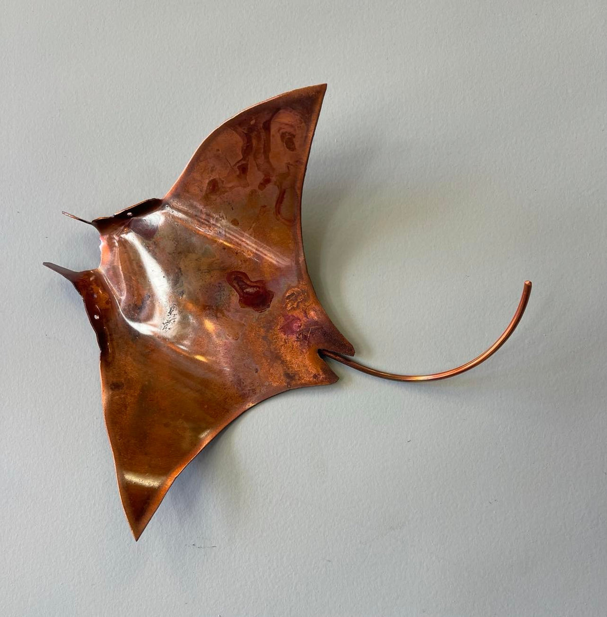 Copper Small Manta Wall Art – Copperworkx